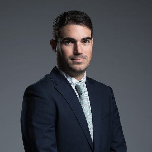 Edoardo Mazzoli: Dispute Resolution